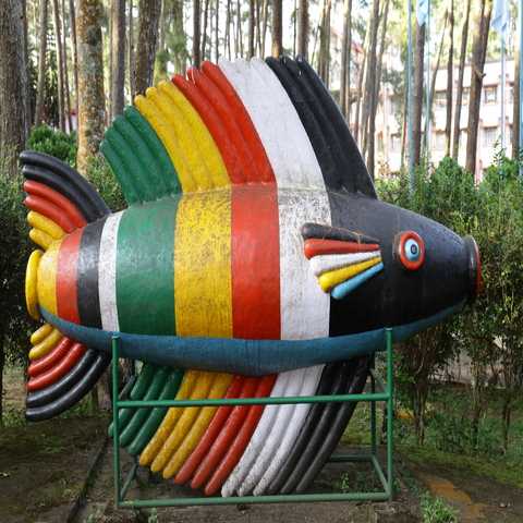 Elliptical Speaking Tube